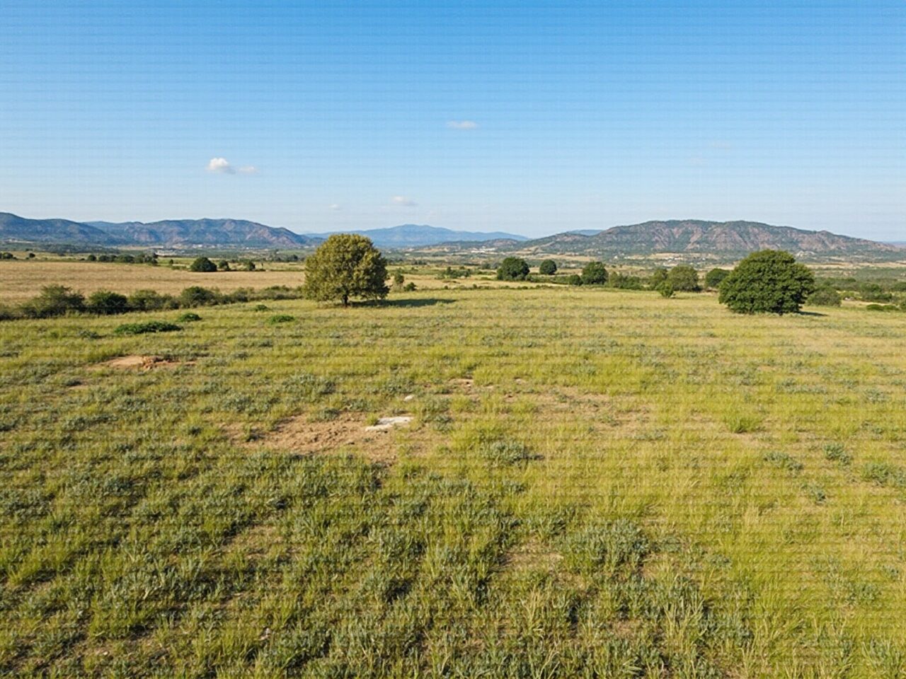 How to Find and Purchase Buildable Land for Sale: A Step-by-Step Guide ...
